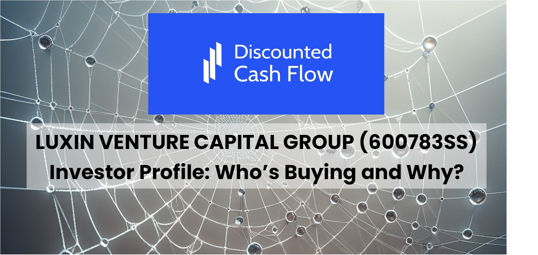 Exploring Luxin Venture Capital Group (600783SS): Who’s Buying and Why? – DCFmodeling.com