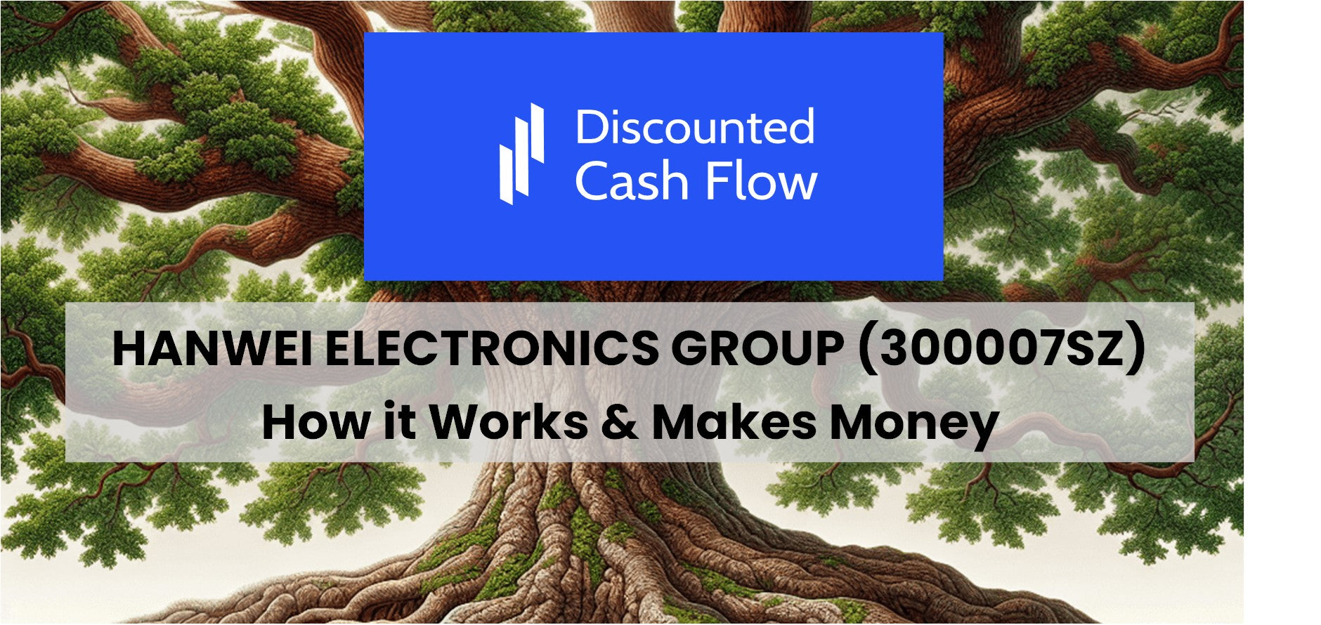 Hanwei Electronics Group (300007SZ): history, ownership, mission, how it works & makes money ...