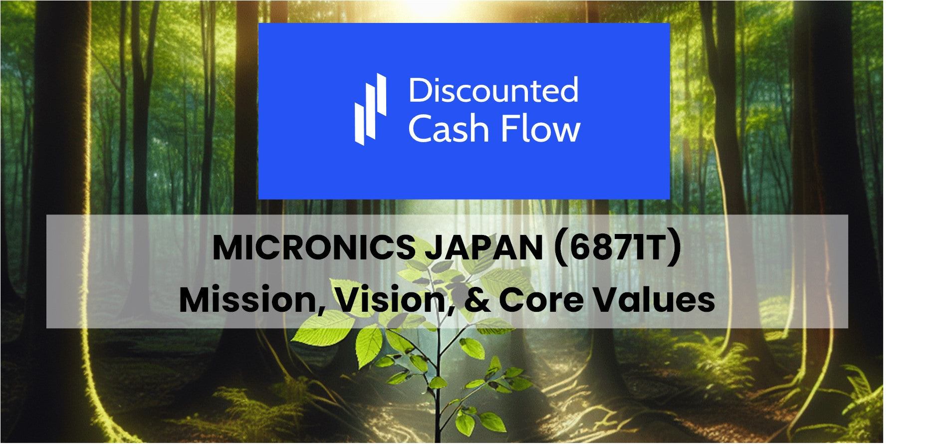 Mission Statement, Vision, & Core Values (2025) of Micronics Japan (6871T) – DCFmodeling.com