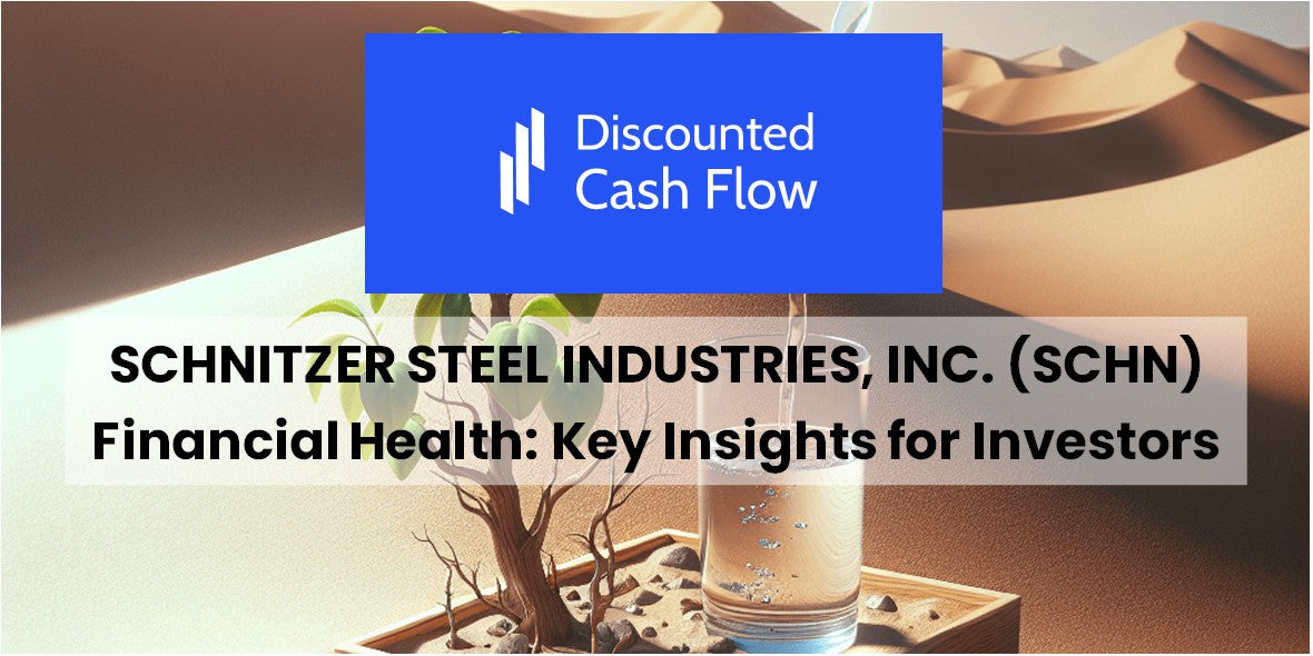 Breaking Down Schnitzer Steel Industries, Inc. (SCHN): Key Insights for Investors – DCFmodeling.com