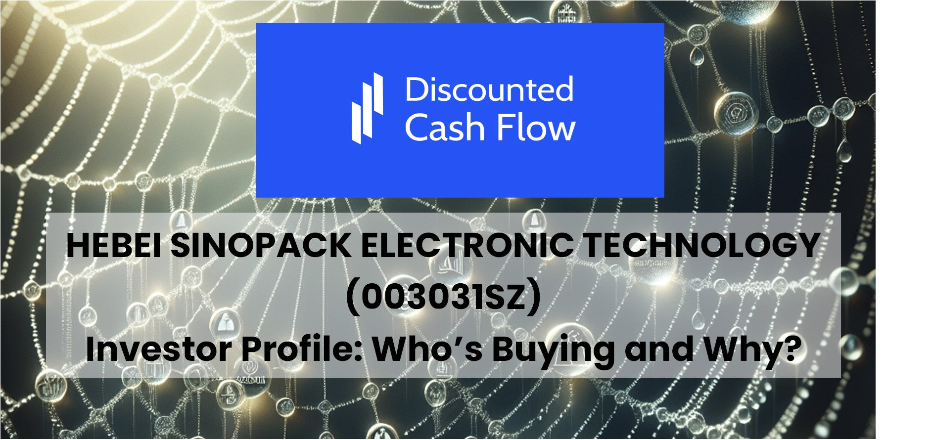 Exploring Hebei Sinopack Electronic Technology (003031SZ): Who’s Buying and Why? – DCFmodeling.com