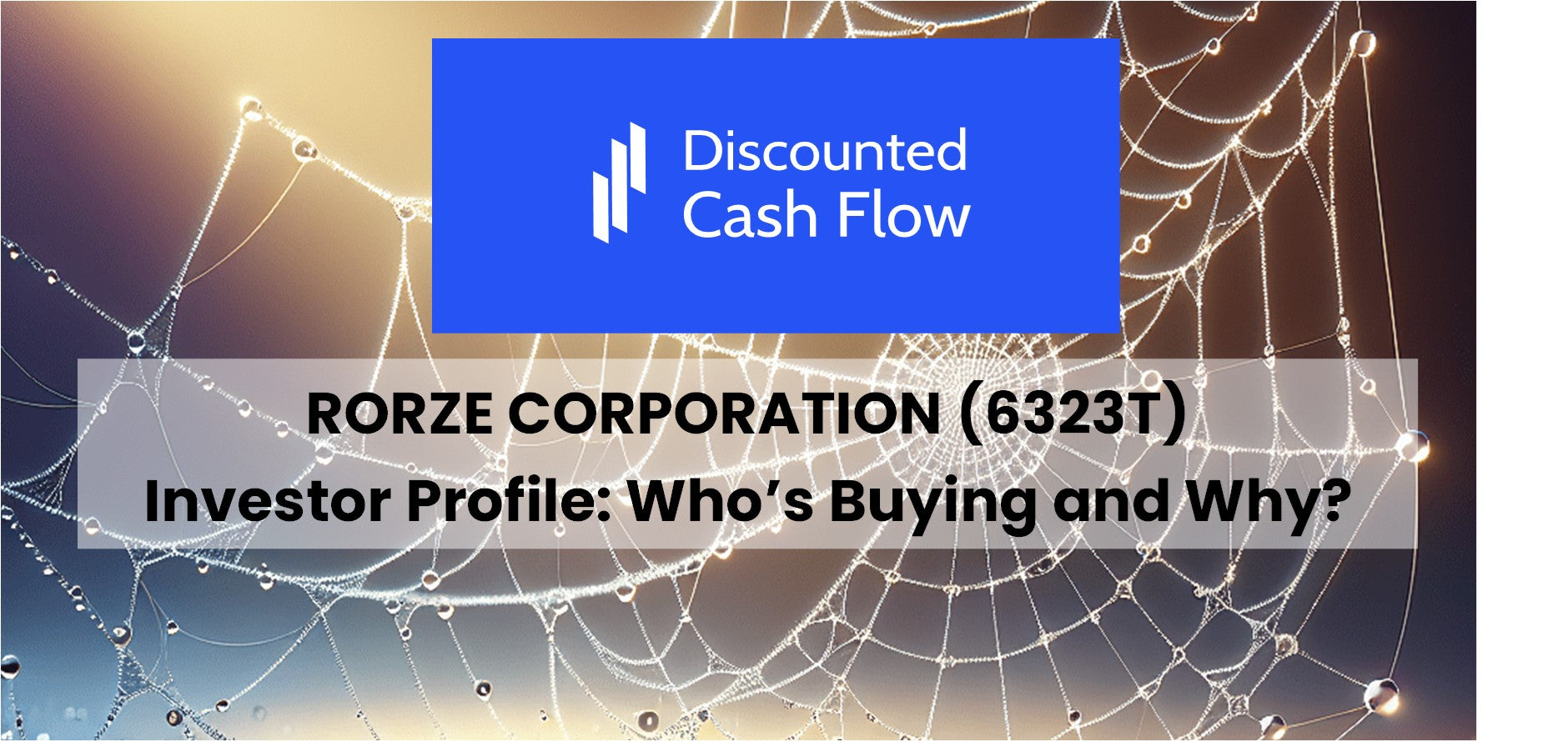 Exploring Rorze Corporation (6323T): Who’s Buying and Why? – DCFmodeling.com