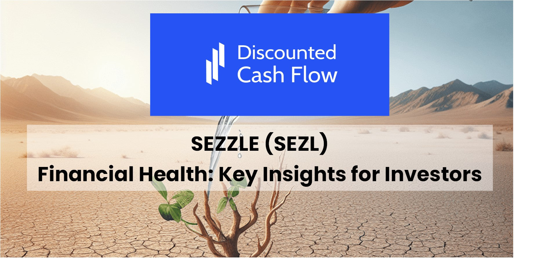 Breaking Down Sezzle (SEZL) Financial Health: Key Insights for Investors – DCFmodeling.com