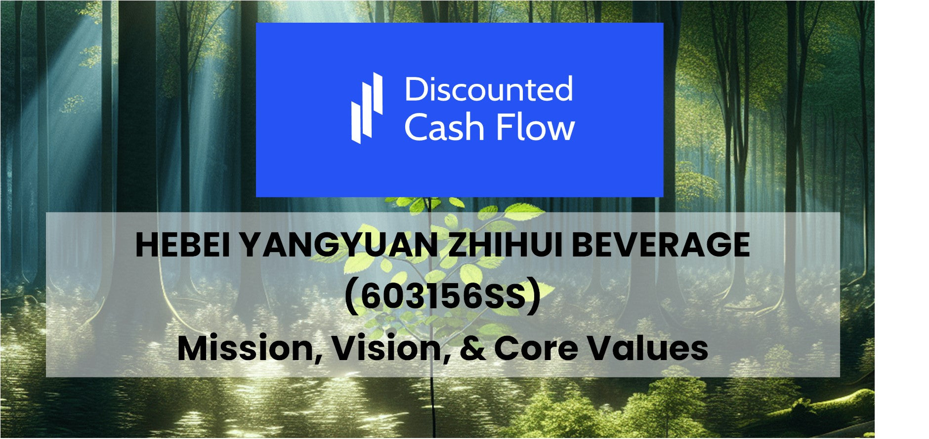 Mission Statement, Vision, & Core Values (2025) of Hebei Yangyuan ZhiHui Beverage (603156SS ...