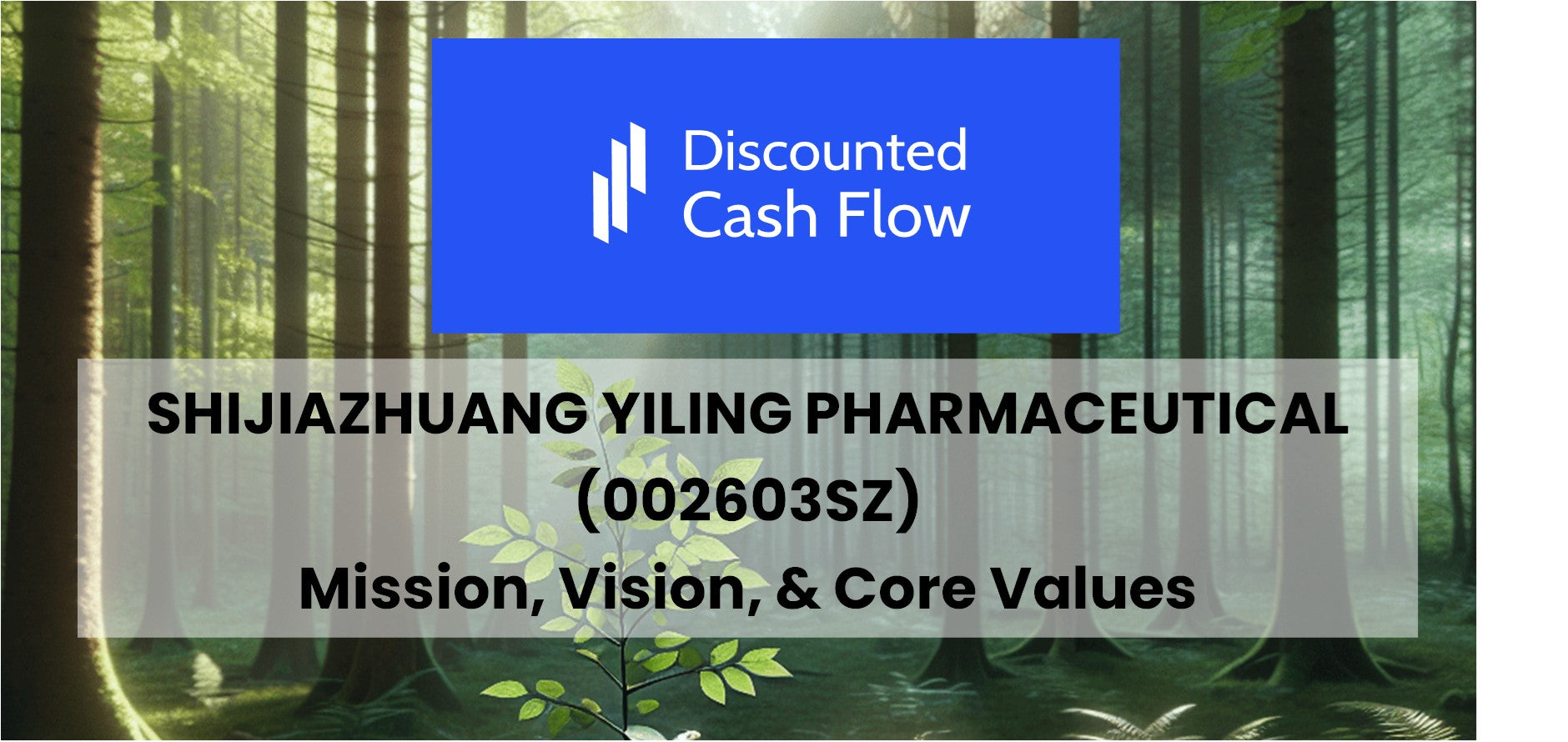 Mission Statement, Vision, & Core Values (2025) of Shijiazhuang Yiling Pharmaceutical (002603SZ ...