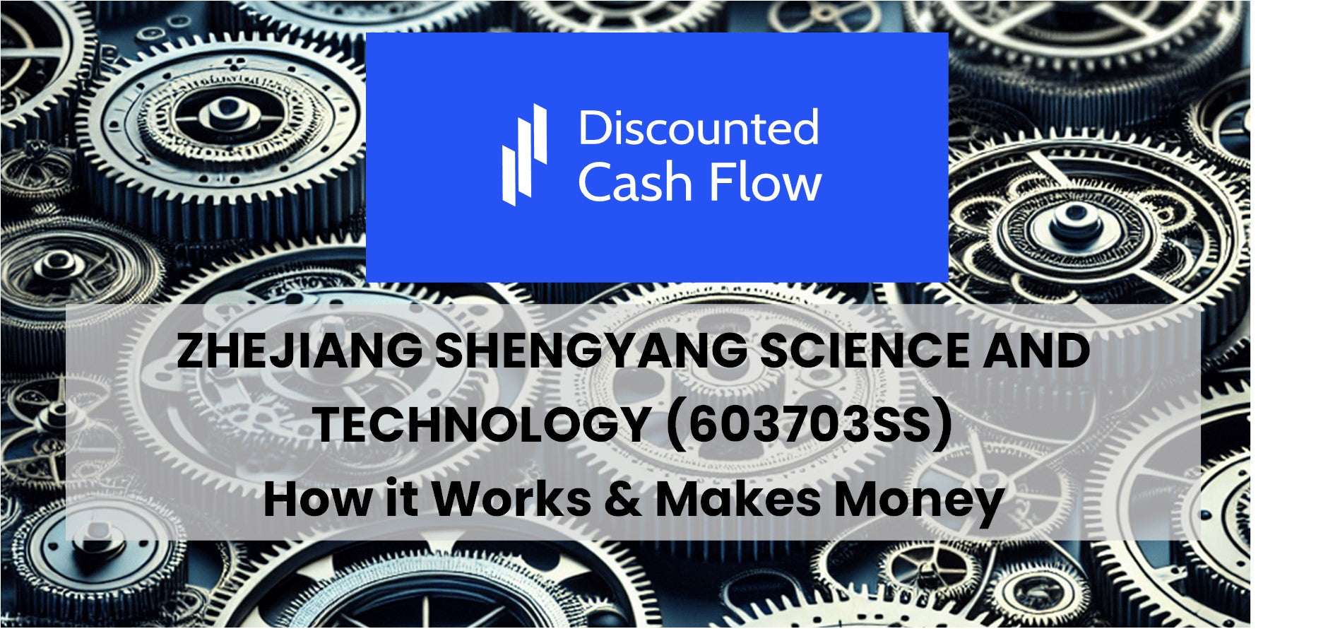 Zhejiang Shengyang Science and Technology (603703SS): history, ownership, mission, how it works ...