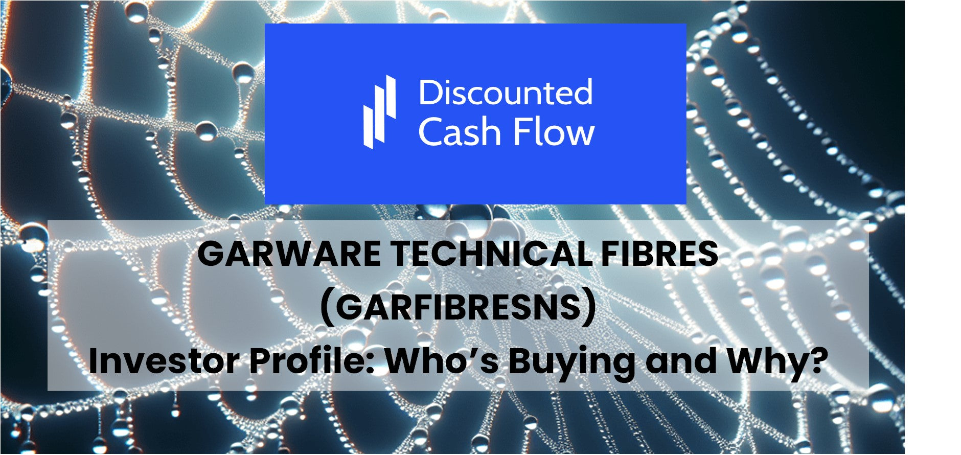 Exploring Garware Technical Fibres (GARFIBRESNS): Who’s Buying and Why? – DCFmodeling.com