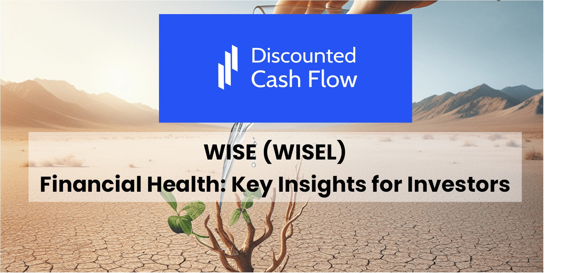 Breaking Down Wise (WISEL) Financial Health: Key Insights for Investors – DCFmodeling.com