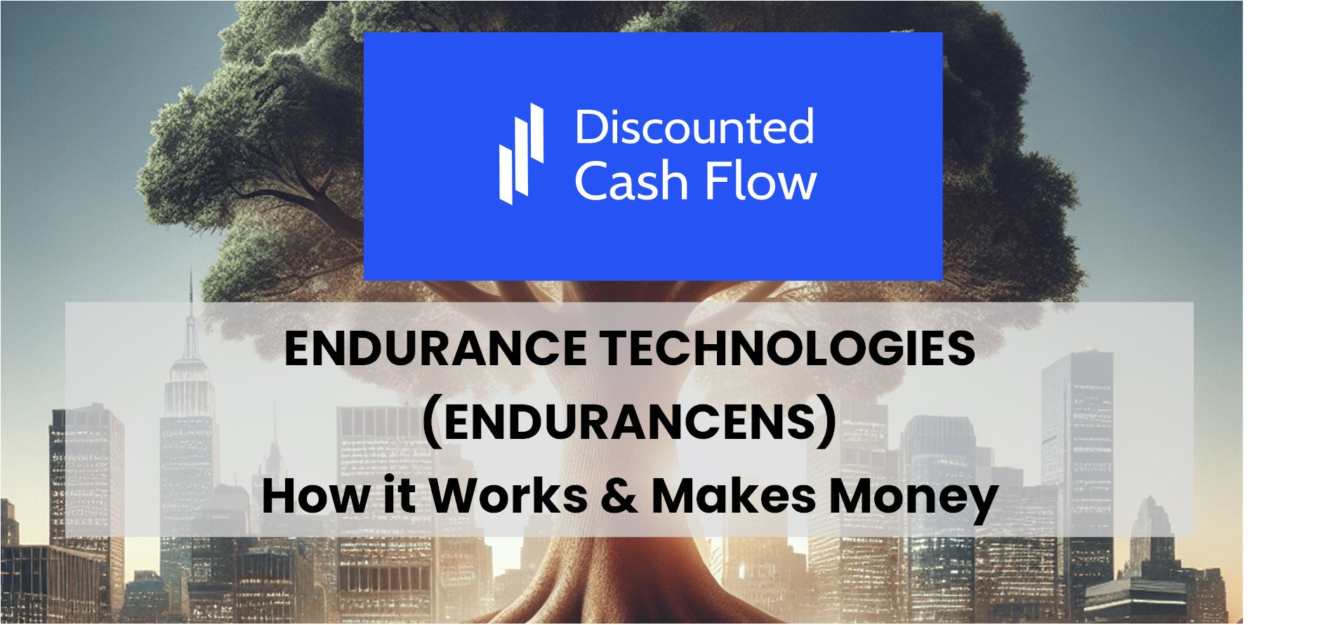 Endurance Technologies (ENDURANCENS): history, ownership, mission, how it works & makes money ...
