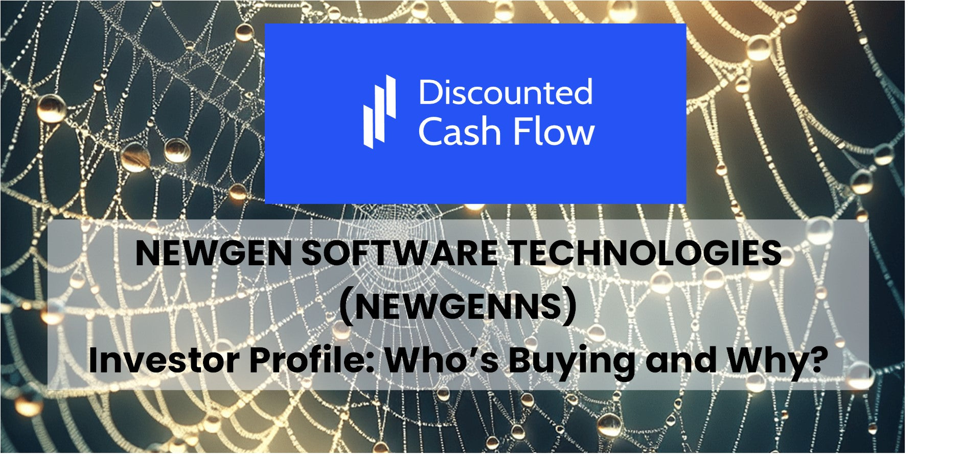 Exploring Newgen Software Technologies (NEWGENNS): Who’s Buying and Why? – DCFmodeling.com