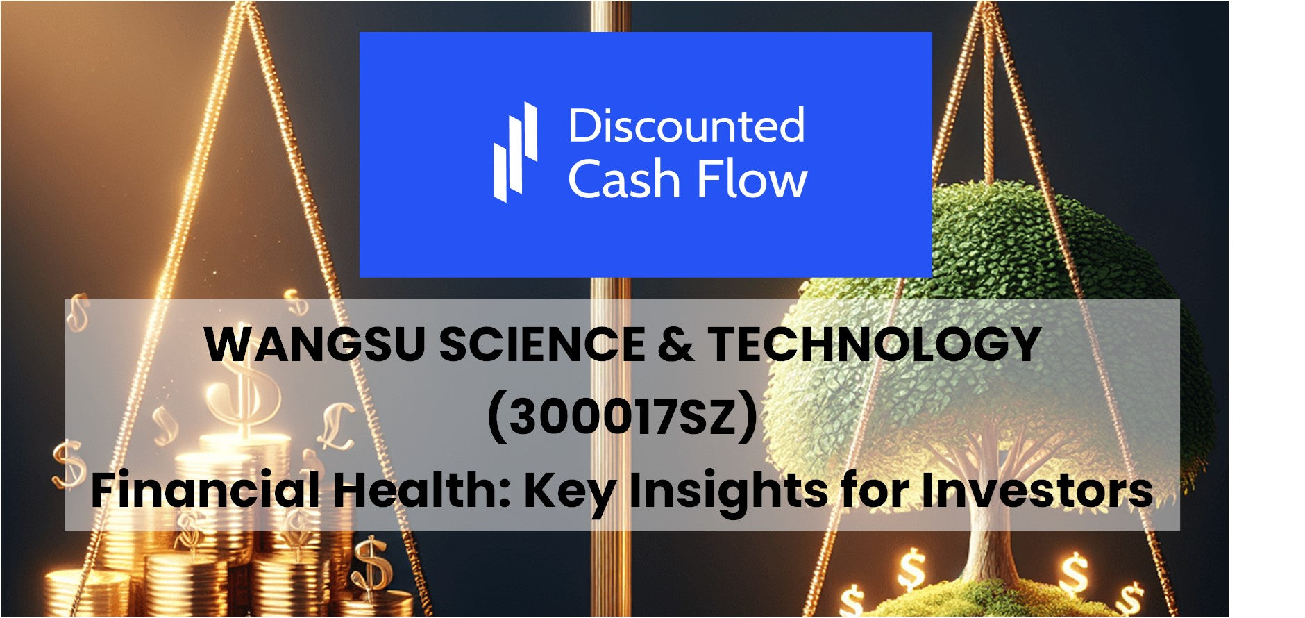 Breaking Down Wangsu Science & Technology (300017SZ) Financial Health: Key Insights for ...