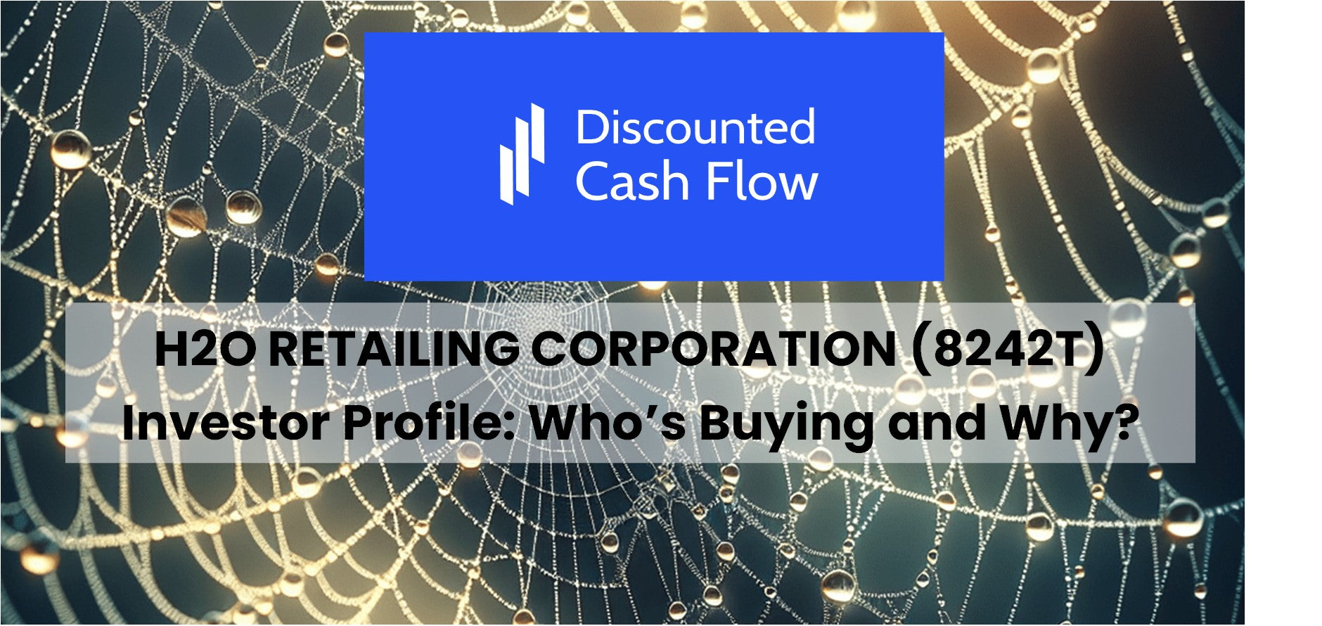 Exploring H2O Retailing Corporation (8242T): Who’s Buying and Why? – DCFmodeling.com