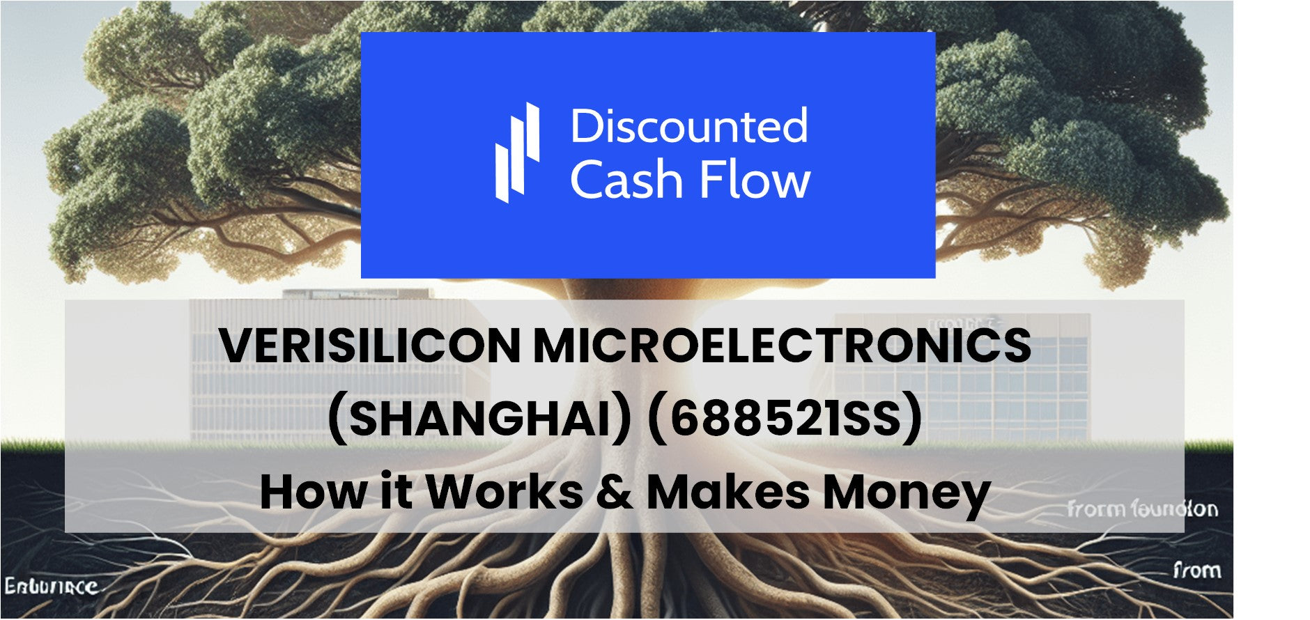 VeriSilicon Microelectronics (Shanghai) (688521SS): history, ownership, mission, how it works ...