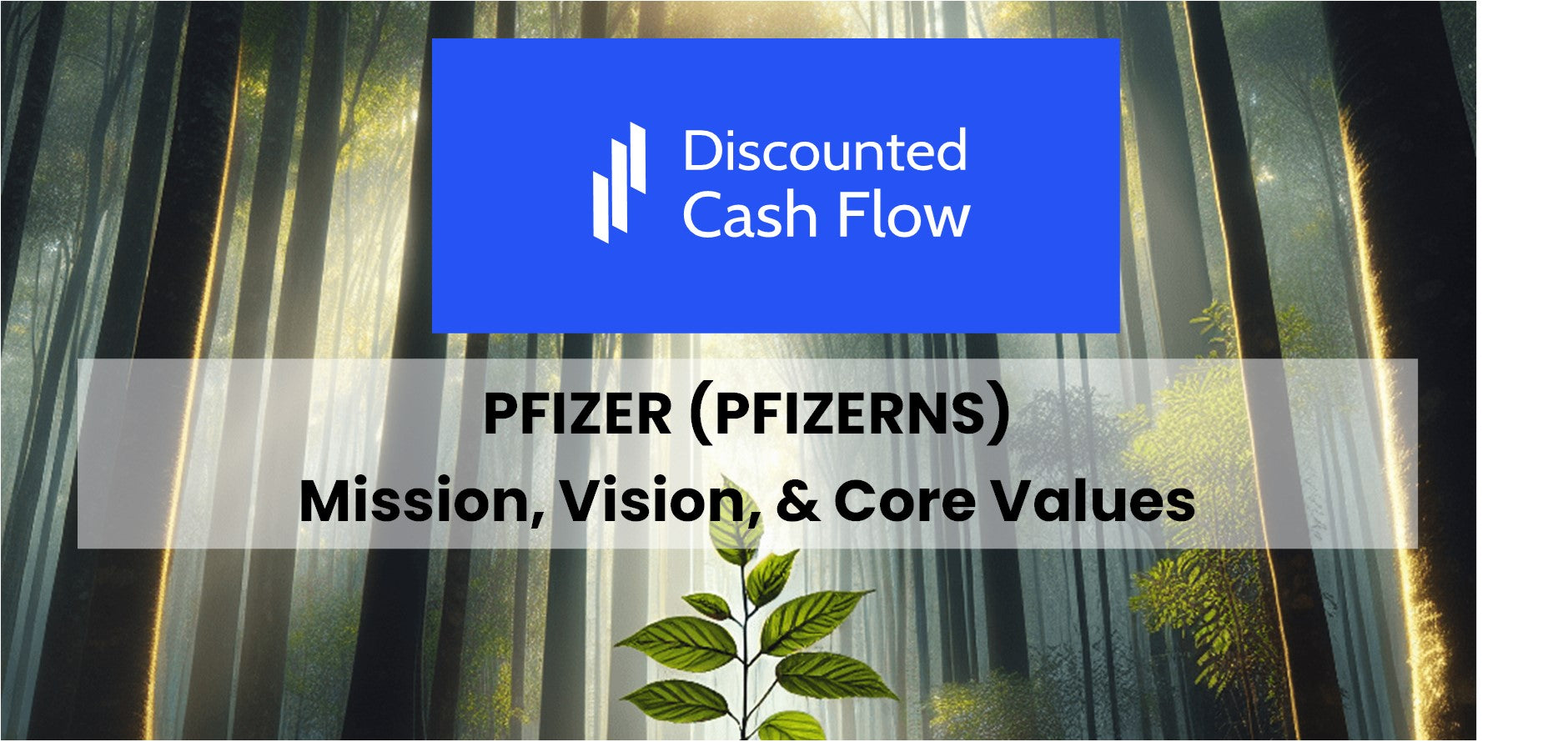 Mission Statement, Vision, & Core Values (2025) of Pfizer (PFIZERNS) – DCFmodeling.com