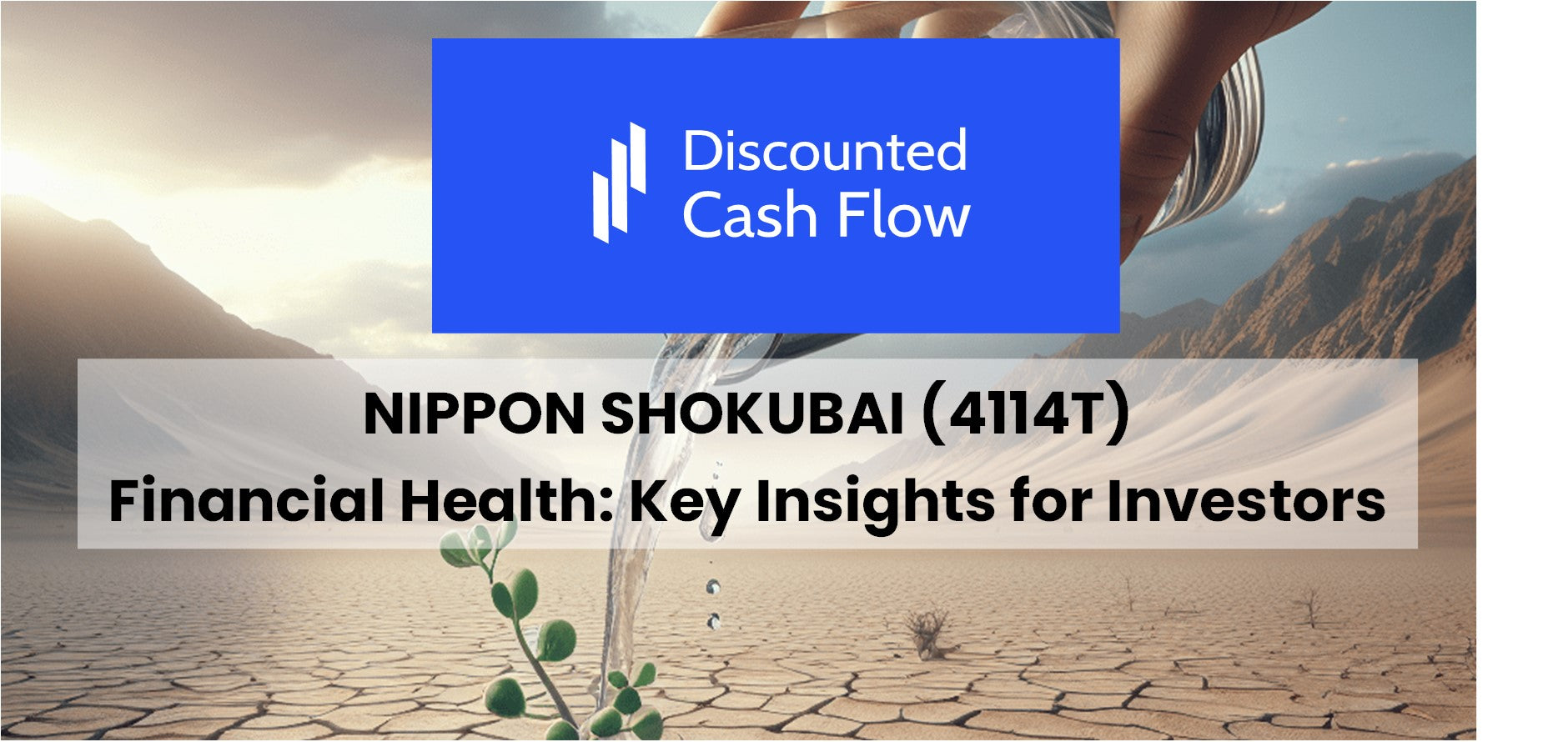 Breaking Down Nippon Shokubai (4114T) Financial Health: Key Insights for Investors – DCFmodeling.com