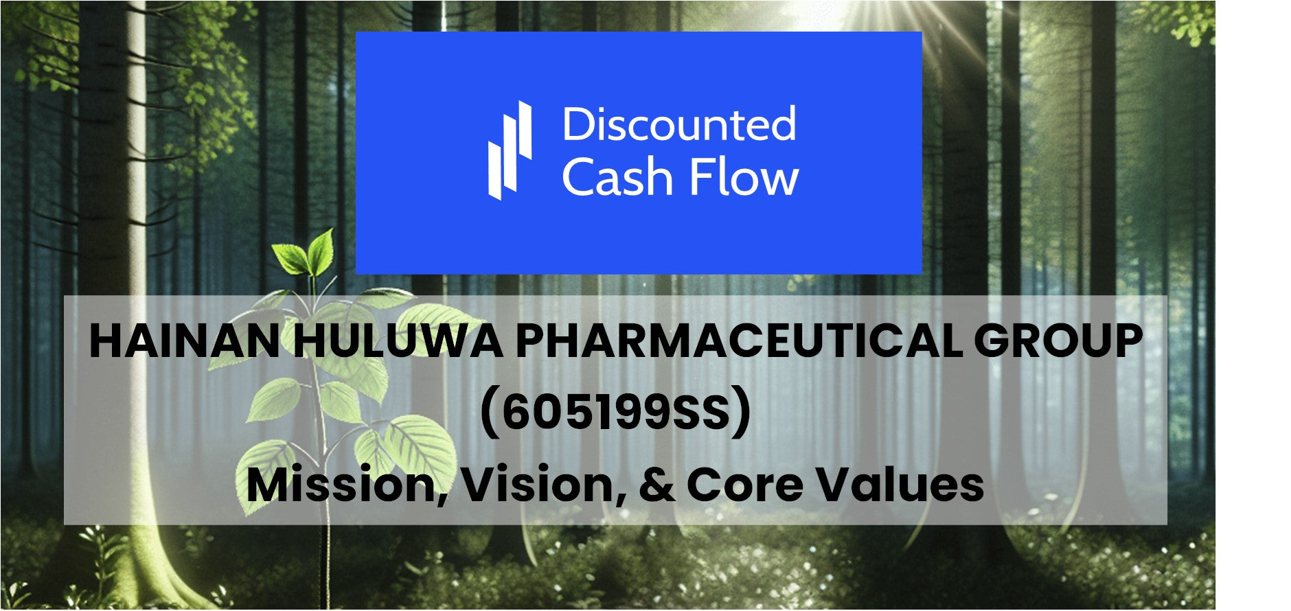Mission Statement, Vision, & Core Values (2025) of Hainan Huluwa Pharmaceutical Group (605199SS ...