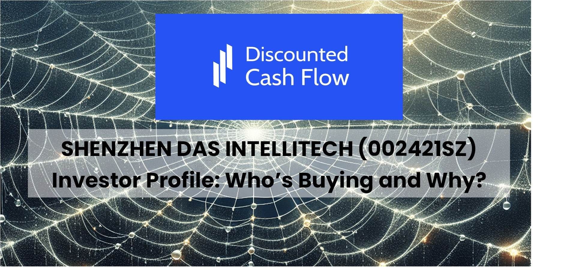 Exploring Shenzhen Das Intellitech (002421SZ): Who’s Buying and Why? – DCFmodeling.com