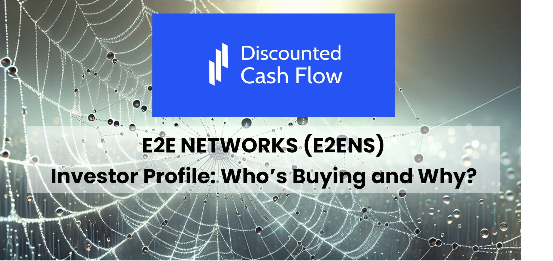 Exploring E2E Networks (E2ENS): Who’s Buying and Why? – DCFmodeling.com