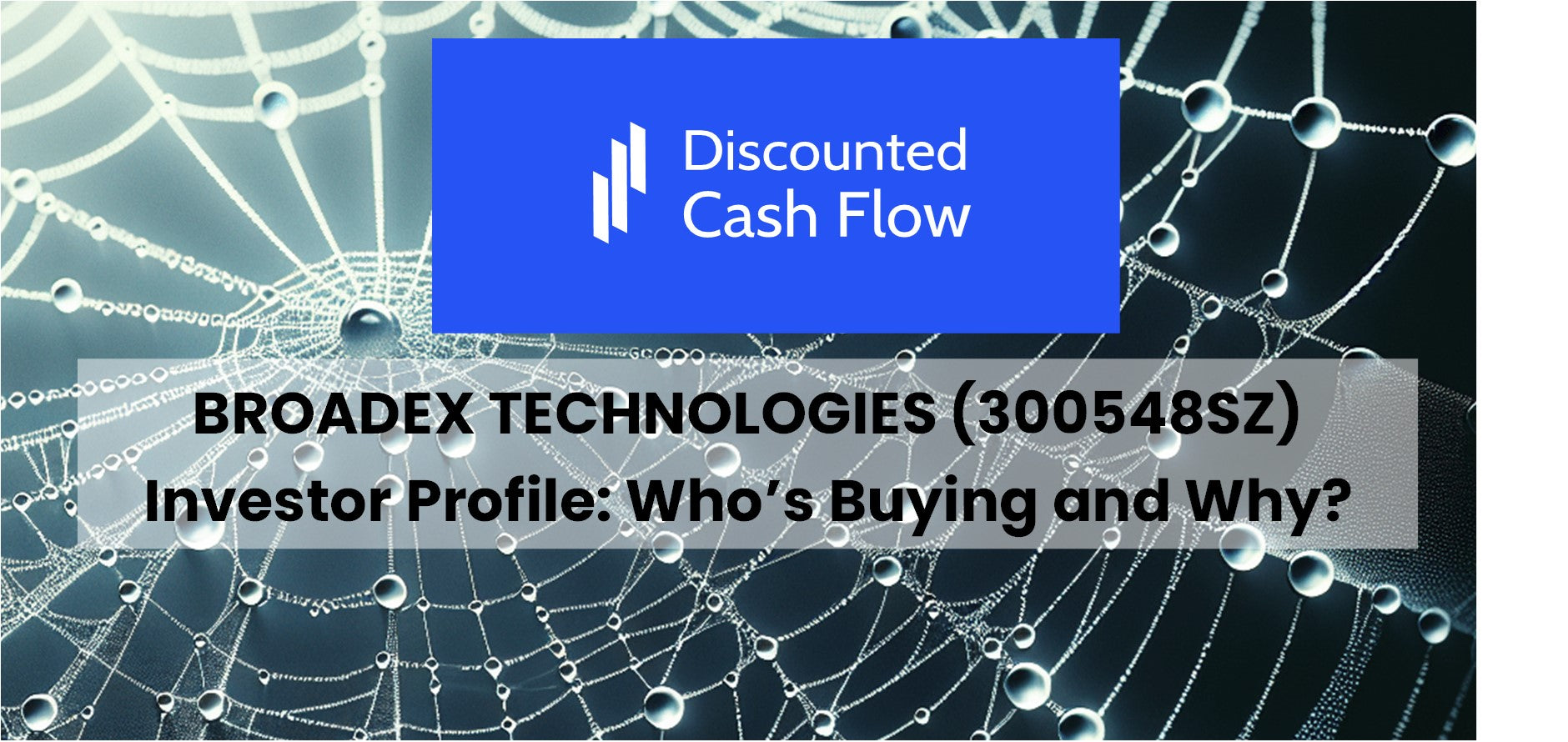Exploring Broadex Technologies (300548SZ): Who’s Buying and Why? – DCFmodeling.com