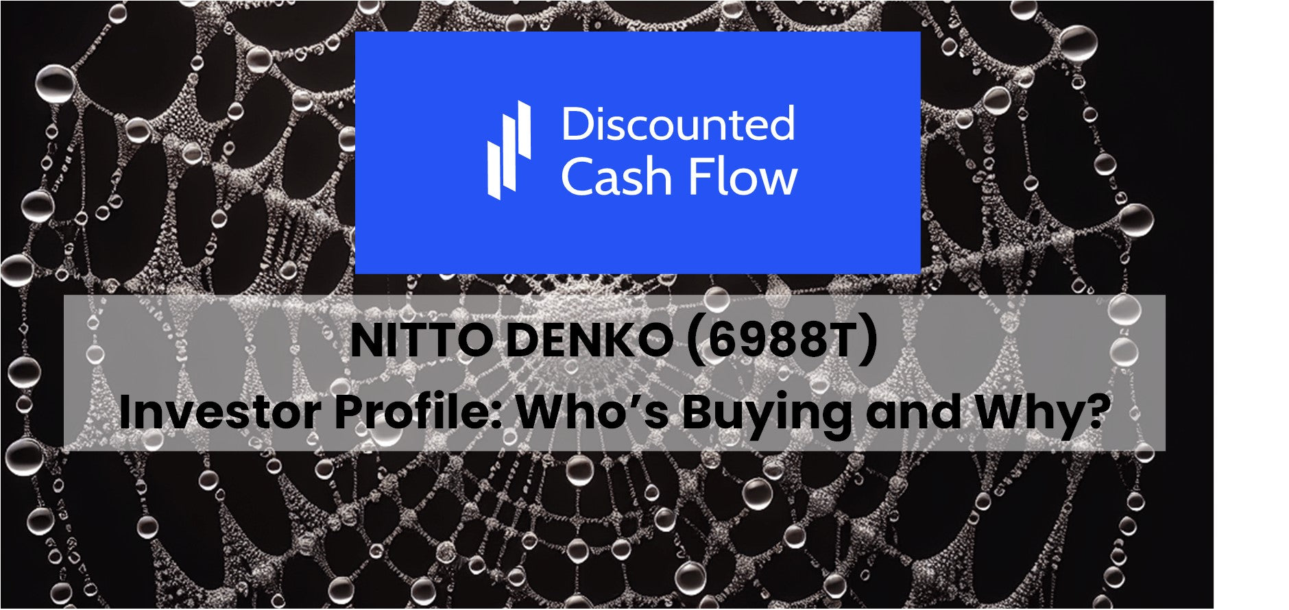 Exploring Nitto Denko (6988T): Who’s Buying and Why? – DCFmodeling.com