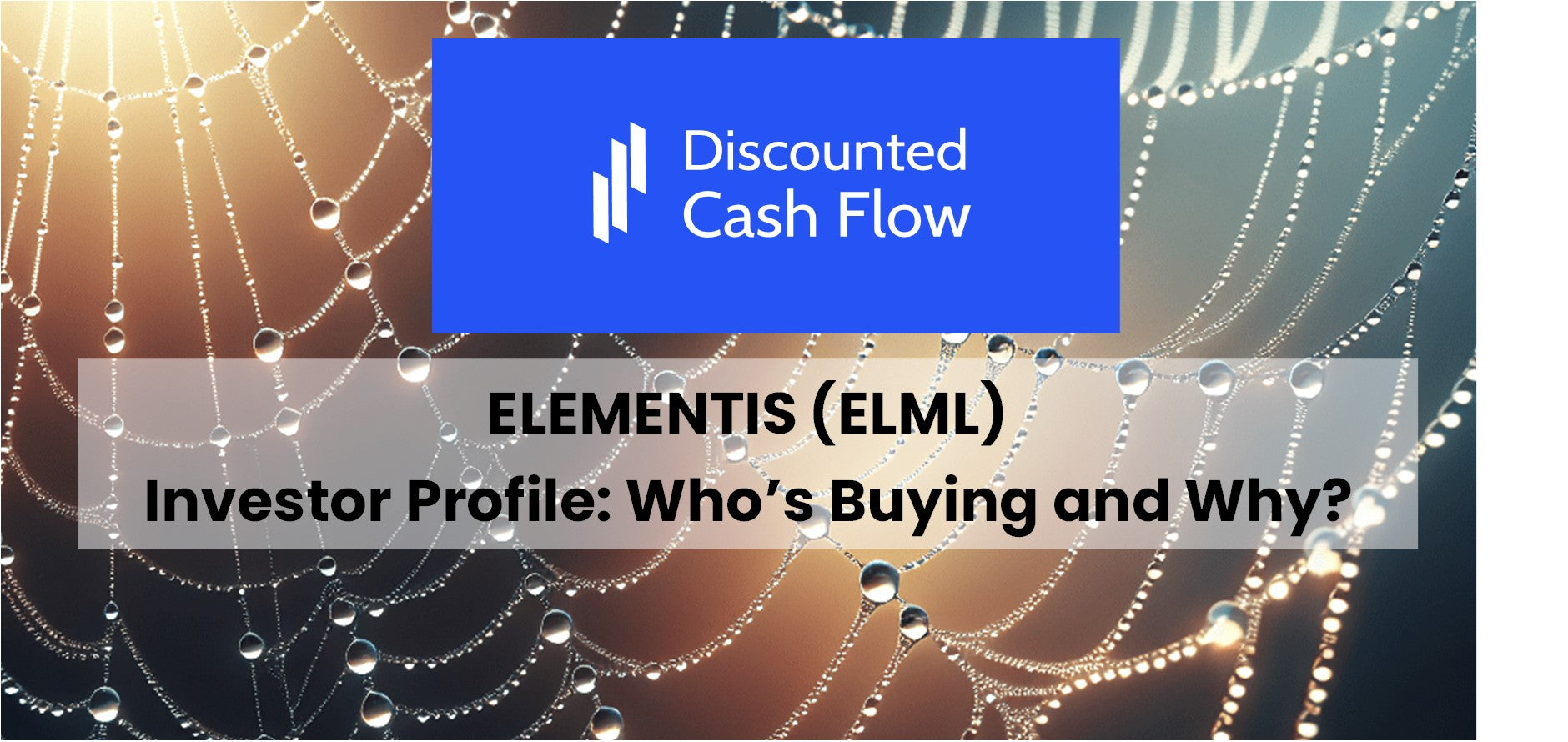 Exploring Elementis (ELML): Who’s Buying and Why? – DCFmodeling.com
