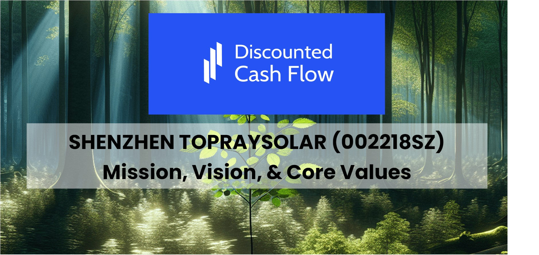 Mission Statement Vision And Core Values 2025 Of Shenzhen Topraysolar
