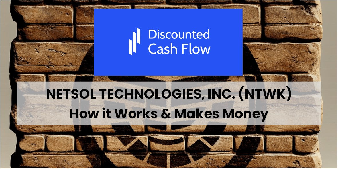 NetSol Technologies, Inc. (NTWK): history, ownership, mission, how it works & makes money ...