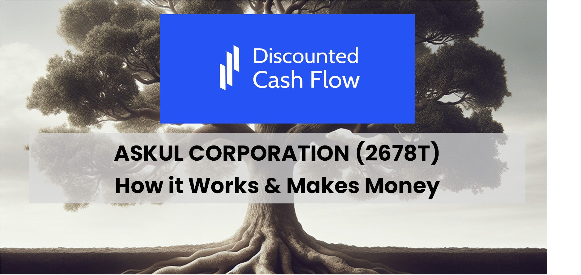 ASKUL Corporation (2678T): history, ownership, mission, how it works & makes money – DCFmodeling.com