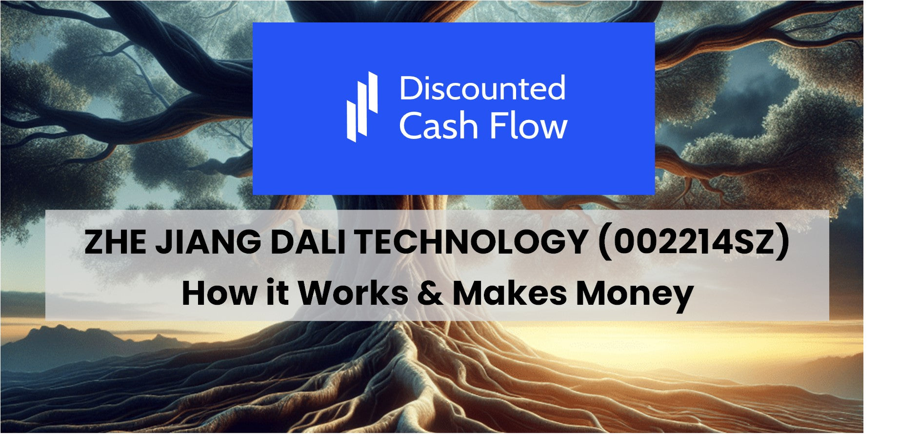 Zhe Jiang Dali Technology (002214SZ): history, ownership, mission, how it works & makes money ...