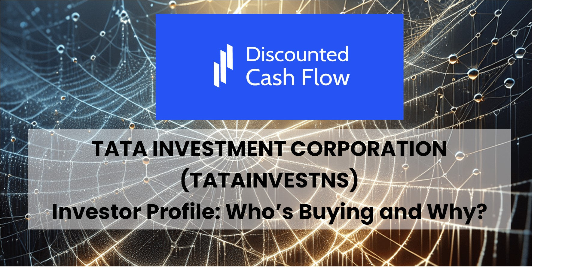 Exploring Tata Investment Corporation (TATAINVESTNS): Who’s Buying and Why? – DCFmodeling.com