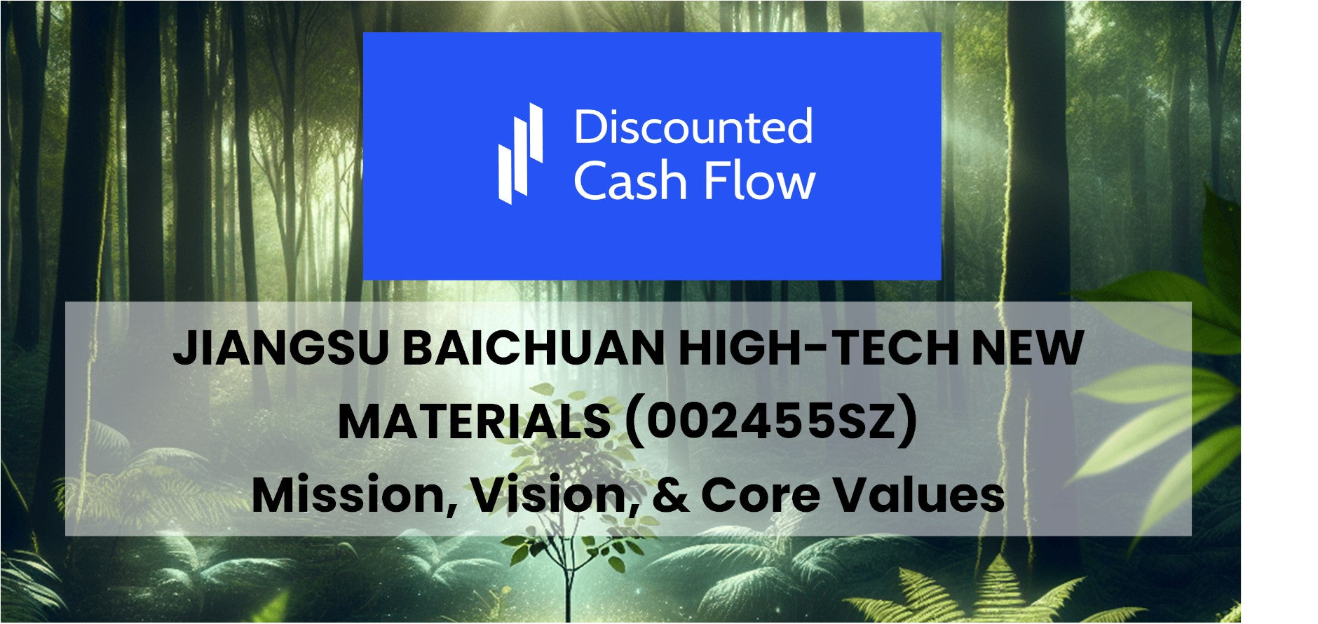 Mission Statement, Vision, & Core Values (2025) of Jiangsu Baichuan High-Tech New Materials ...