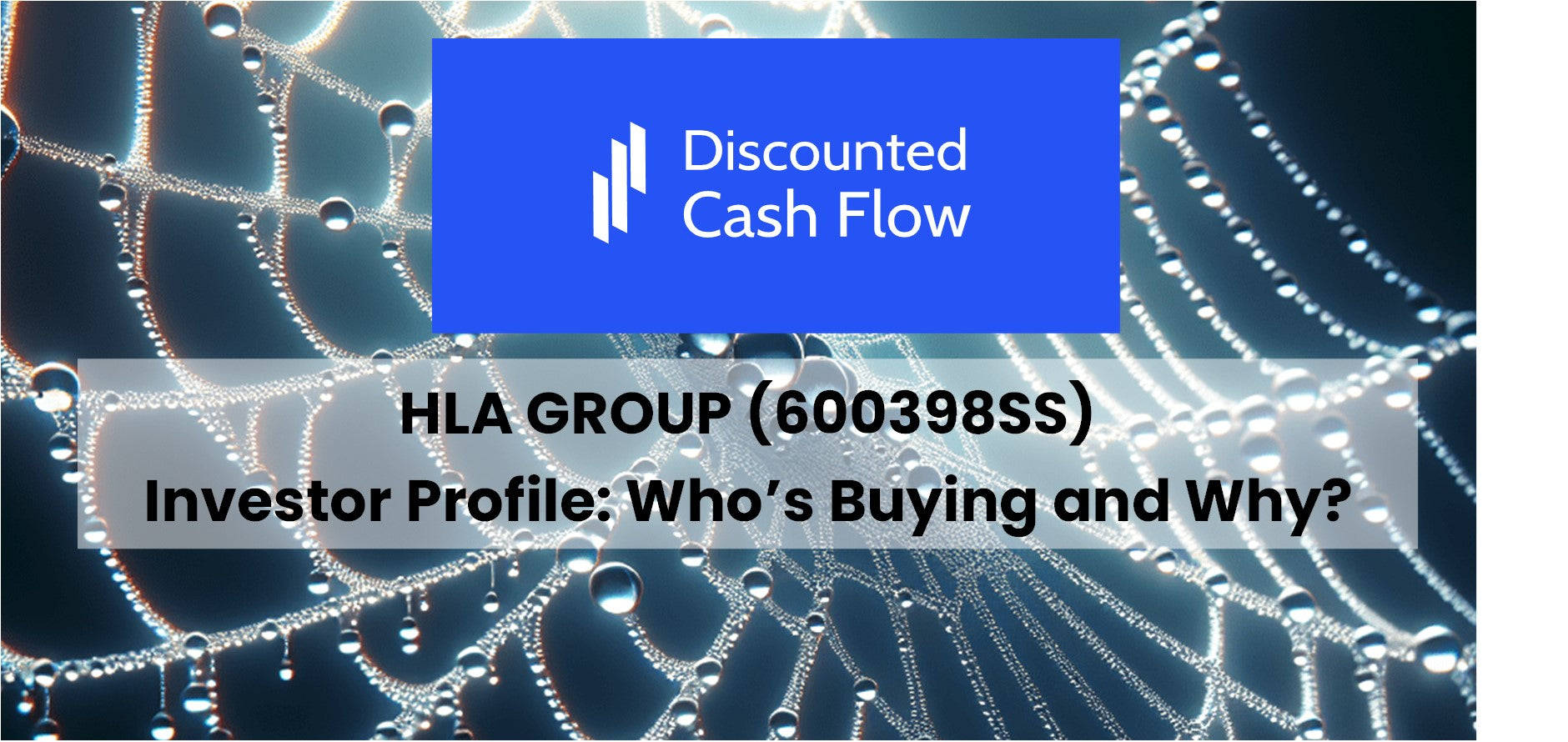Exploring Hla Group (600398SS): Who’s Buying and Why? – DCFmodeling.com