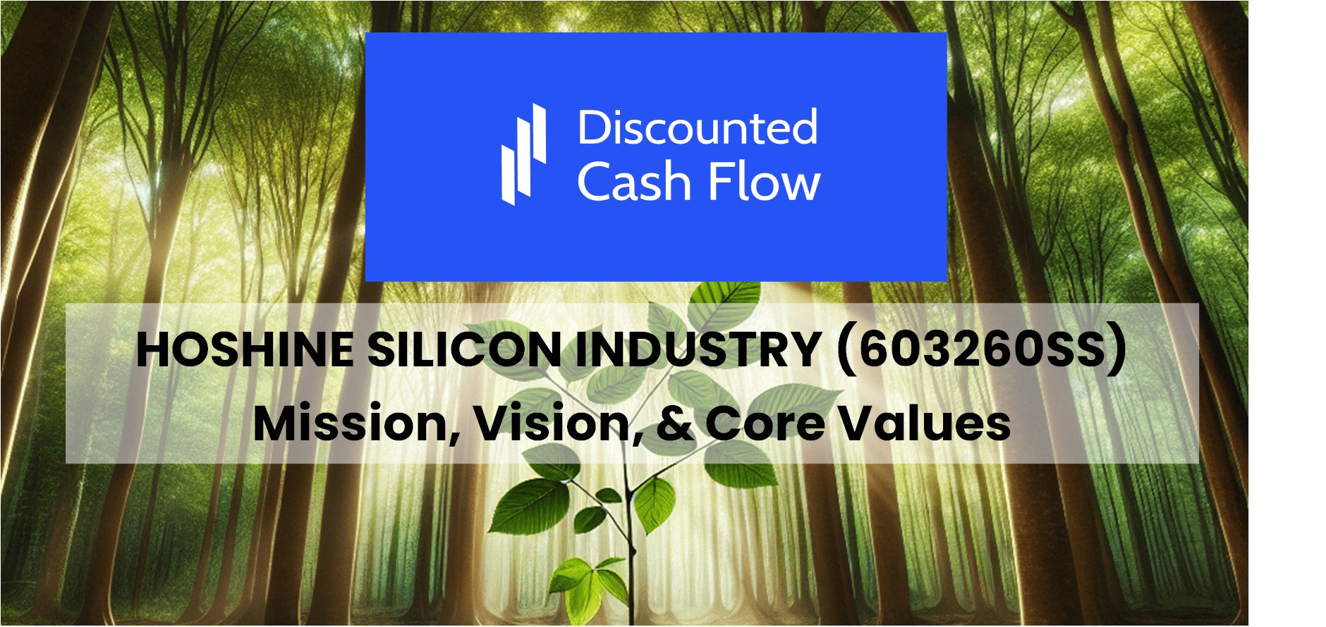 Mission Statement, Vision, & Core Values (2025) of Hoshine Silicon Industry (603260SS ...