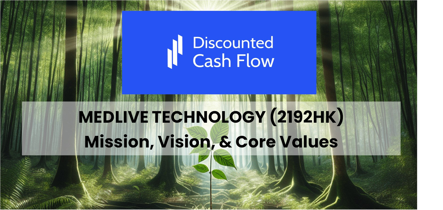 Mission Statement, Vision, & Core Values (2025) of Medlive Technology (2192HK) – DCFmodeling.com