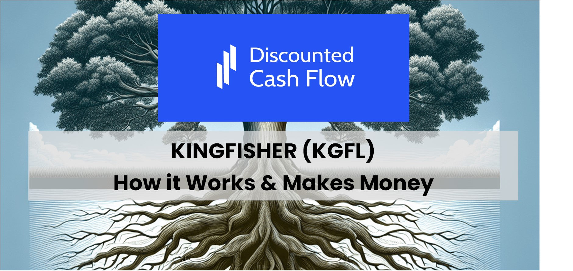 Kingfisher (KGFL): history, ownership, mission, how it works & makes money – DCFmodeling.com