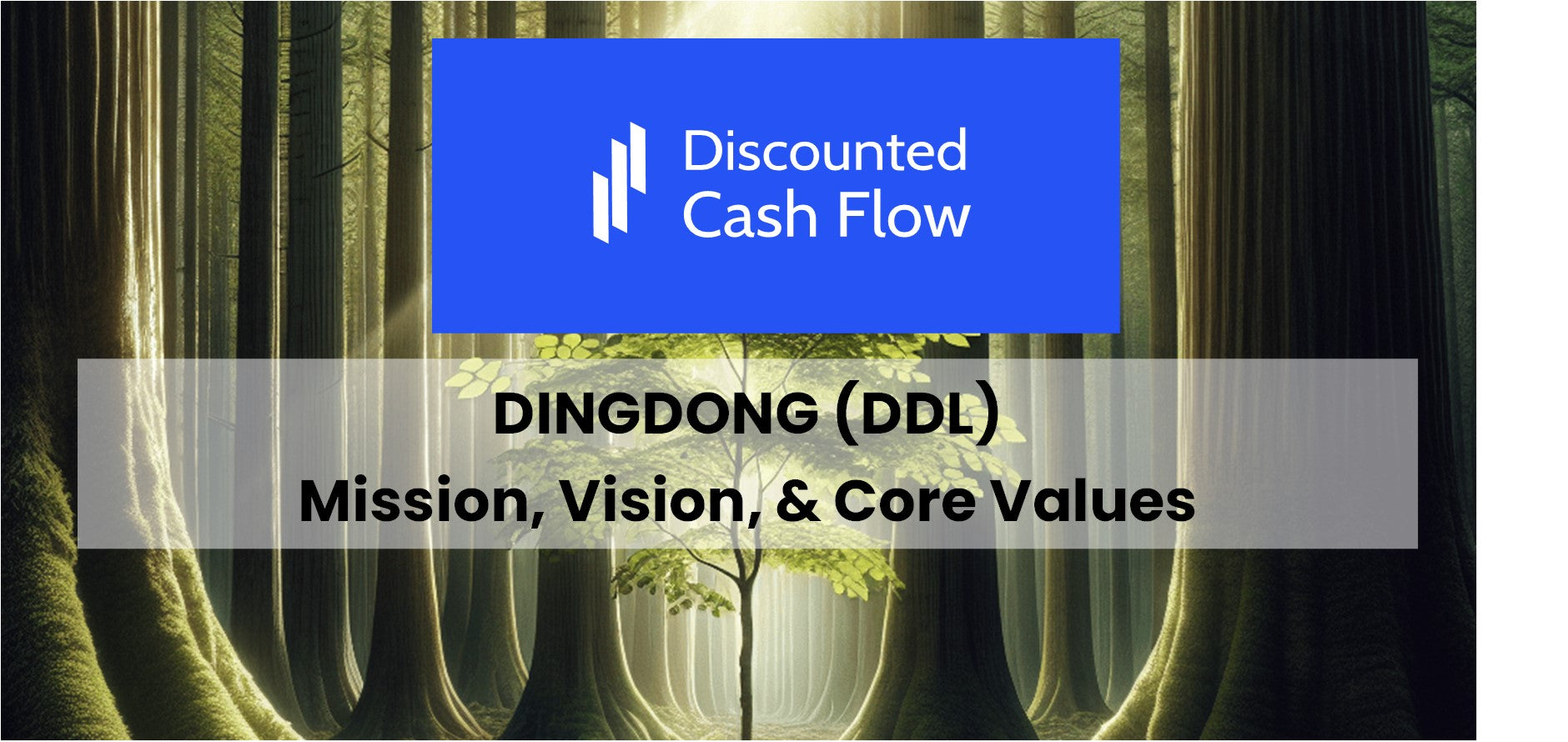 Mission Statement, Vision, & Core Values (2025) of Dingdong (DDL) – DCFmodeling.com