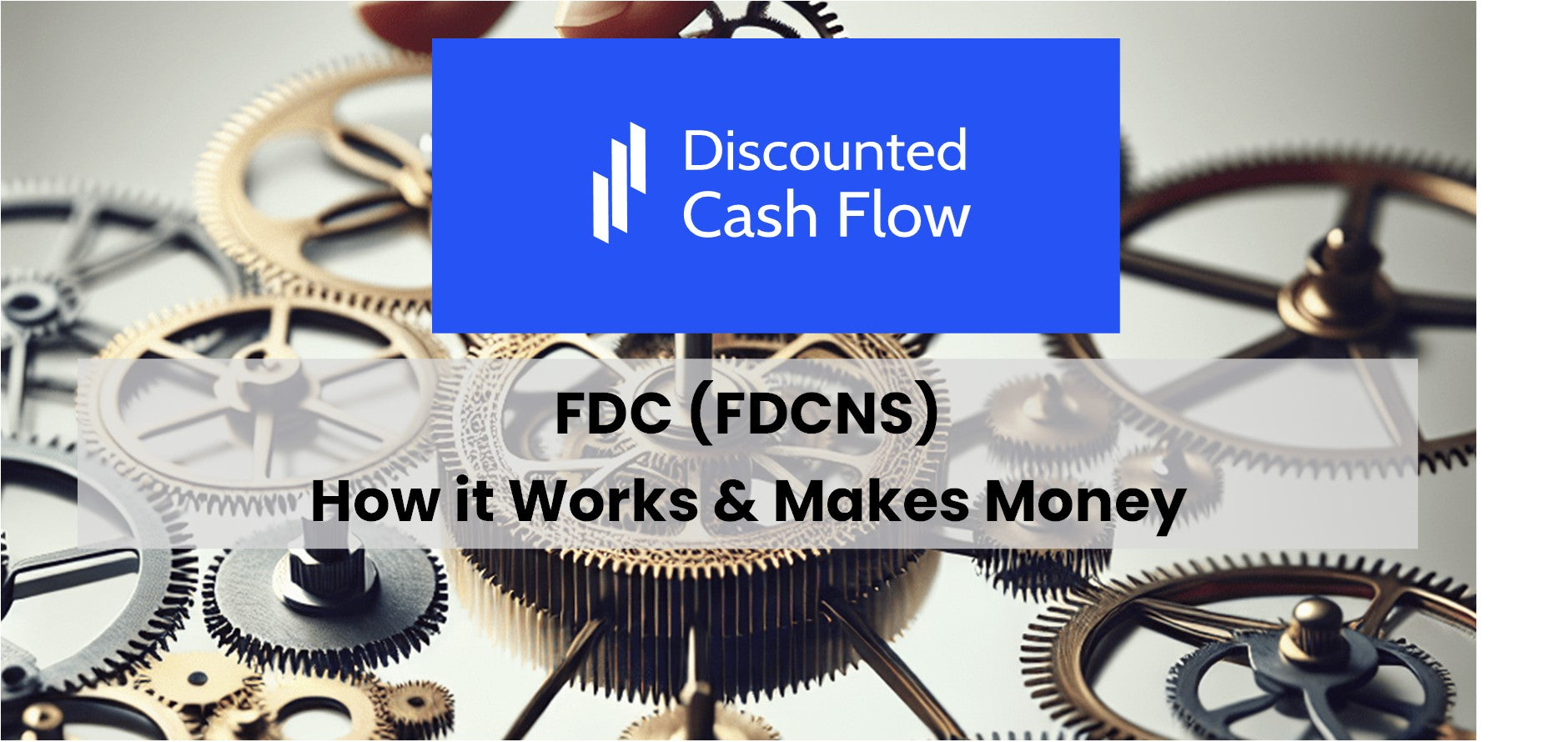 FDC (FDCNS): history, ownership, mission, how it works & makes money – DCFmodeling.com