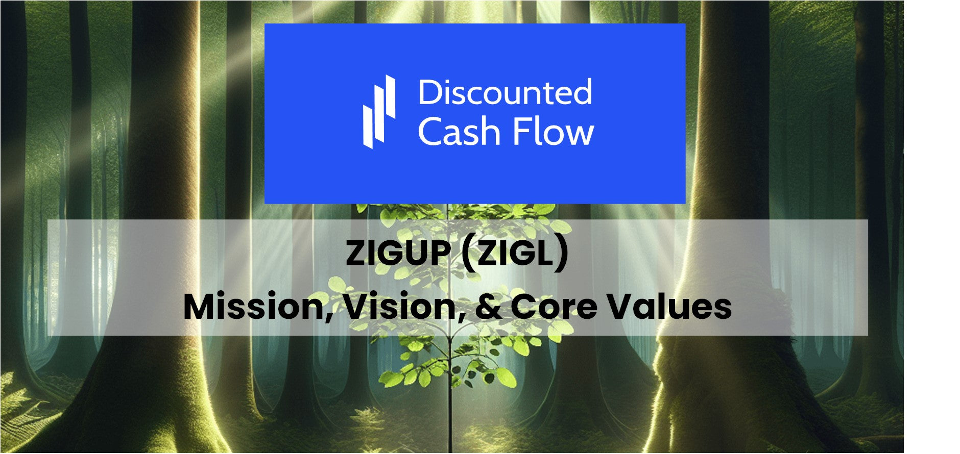 Mission Statement, Vision, & Core Values (2025) of Zigup (ZIGL) – DCFmodeling.com