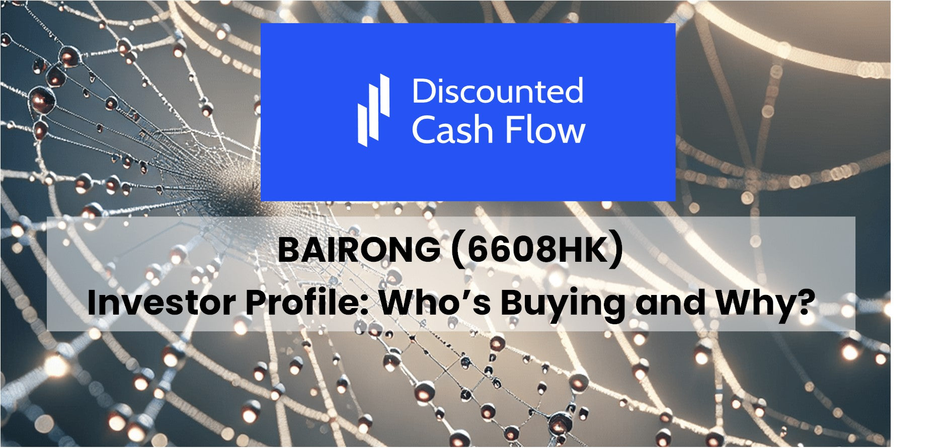 Exploring Bairong (6608HK): Who’s Buying and Why? – DCFmodeling.com