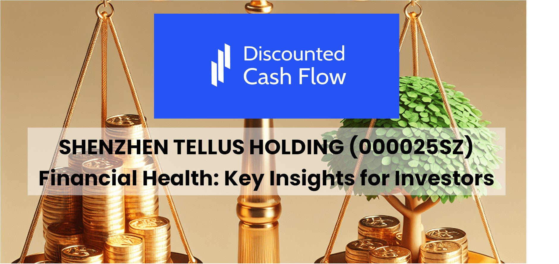Breaking Down Shenzhen Tellus Holding (000025SZ) Financial Health: Key Insights for Investors ...