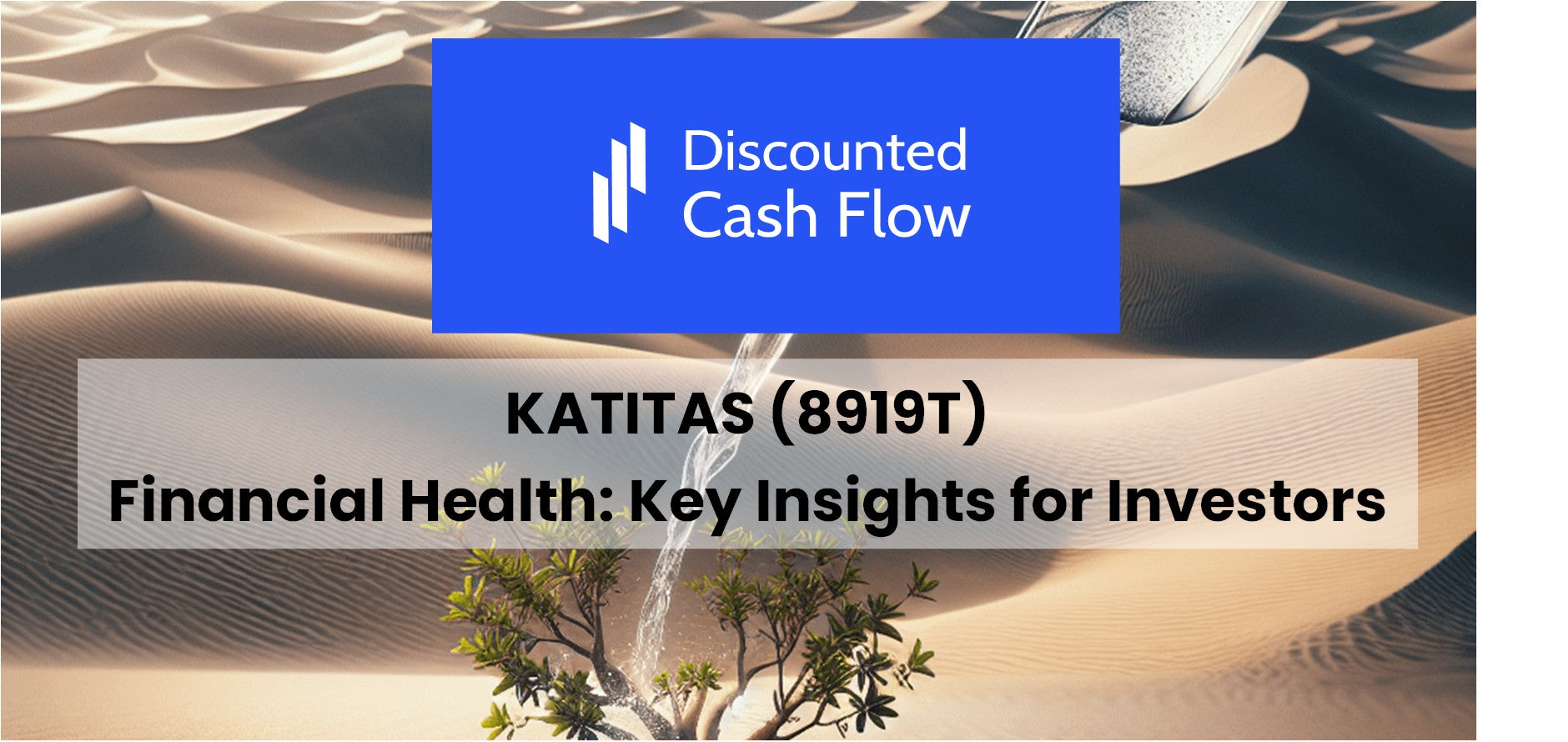 Breaking Down KATITAS (8919T) Financial Health: Key Insights for Investors – DCFmodeling.com