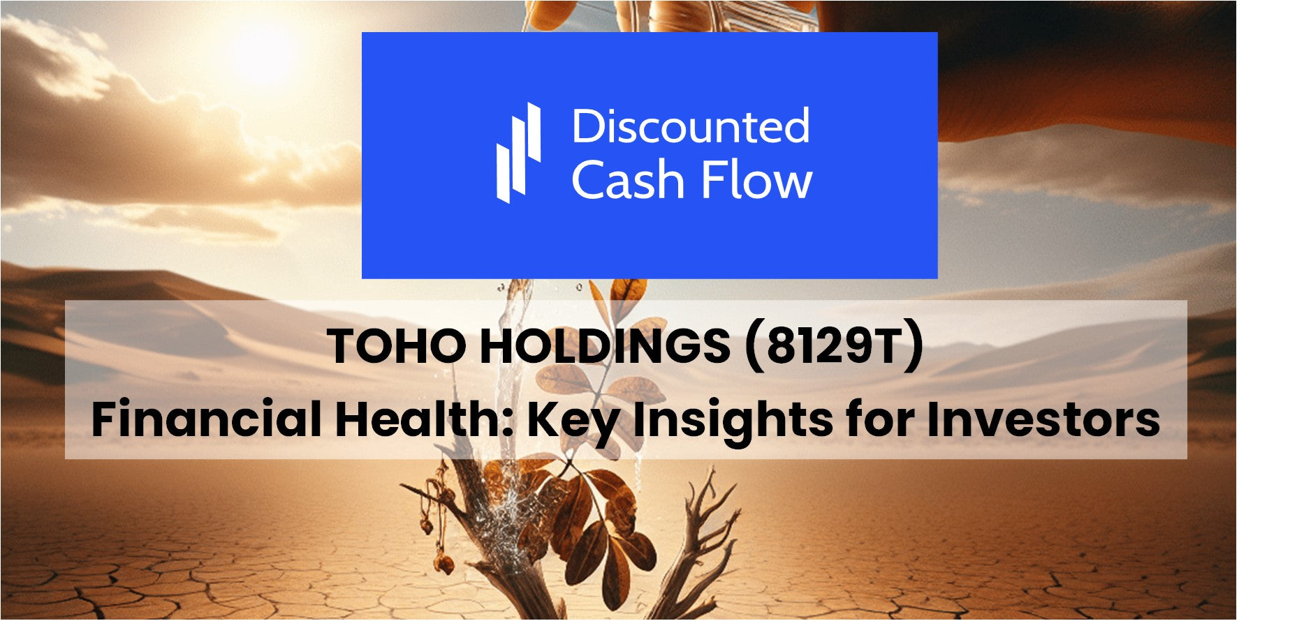 Breaking Down Toho Holdings (8129T) Financial Health: Key Insights for Investors – DCFmodeling.com