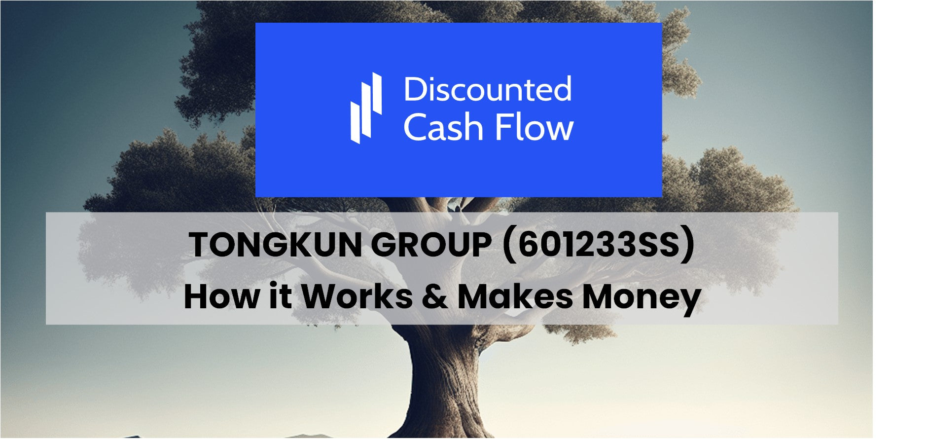 Tongkun Group (601233SS): history, ownership, mission, how it works & makes money – DCFmodeling.com