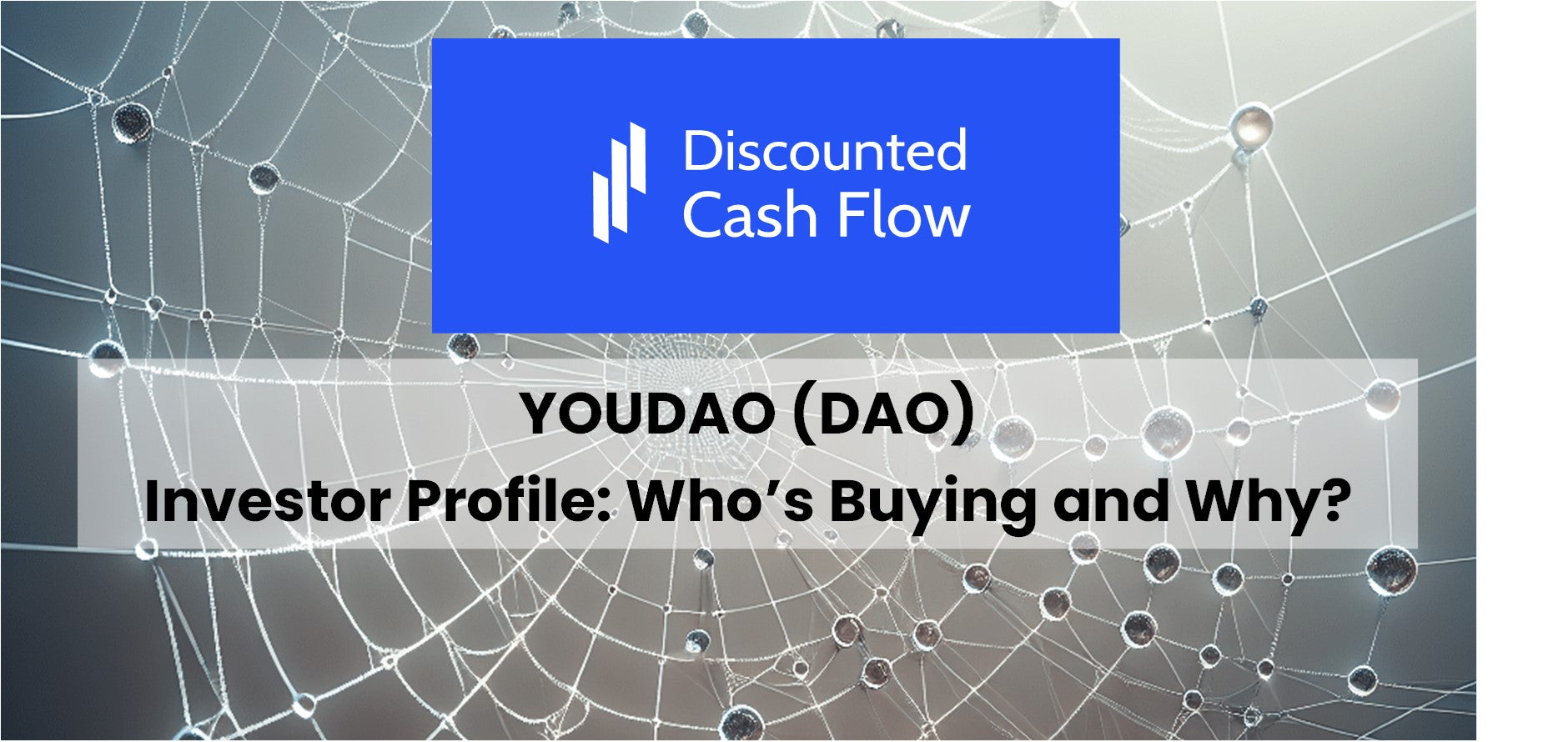 Exploring Youdao (DAO): Who’s Buying and Why? – DCFmodeling.com