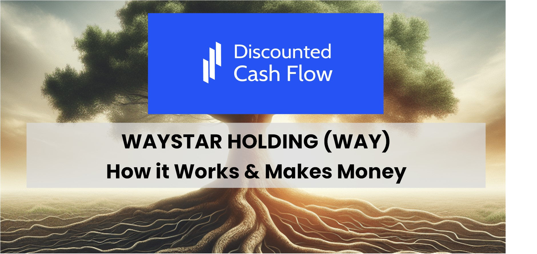 Waystar Holding (WAY): history, ownership, mission, how it works & makes money – DCFmodeling.com
