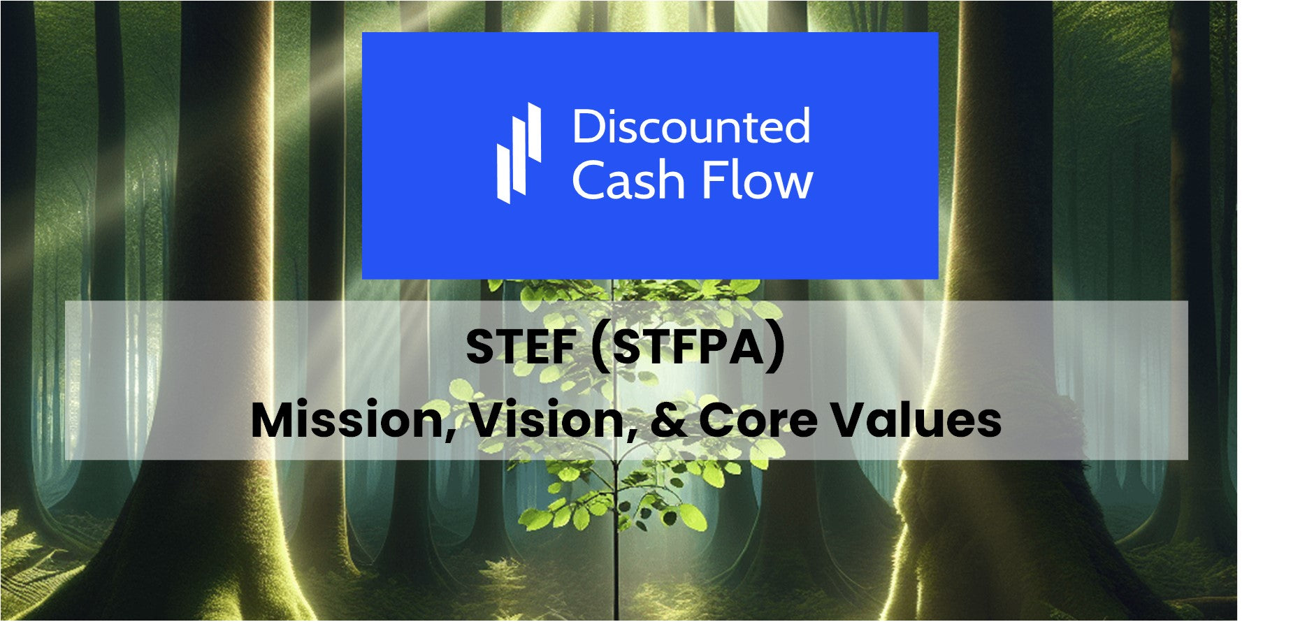 Mission Statement, Vision, & Core Values (2025) of STEF (STFPA) – DCFmodeling.com