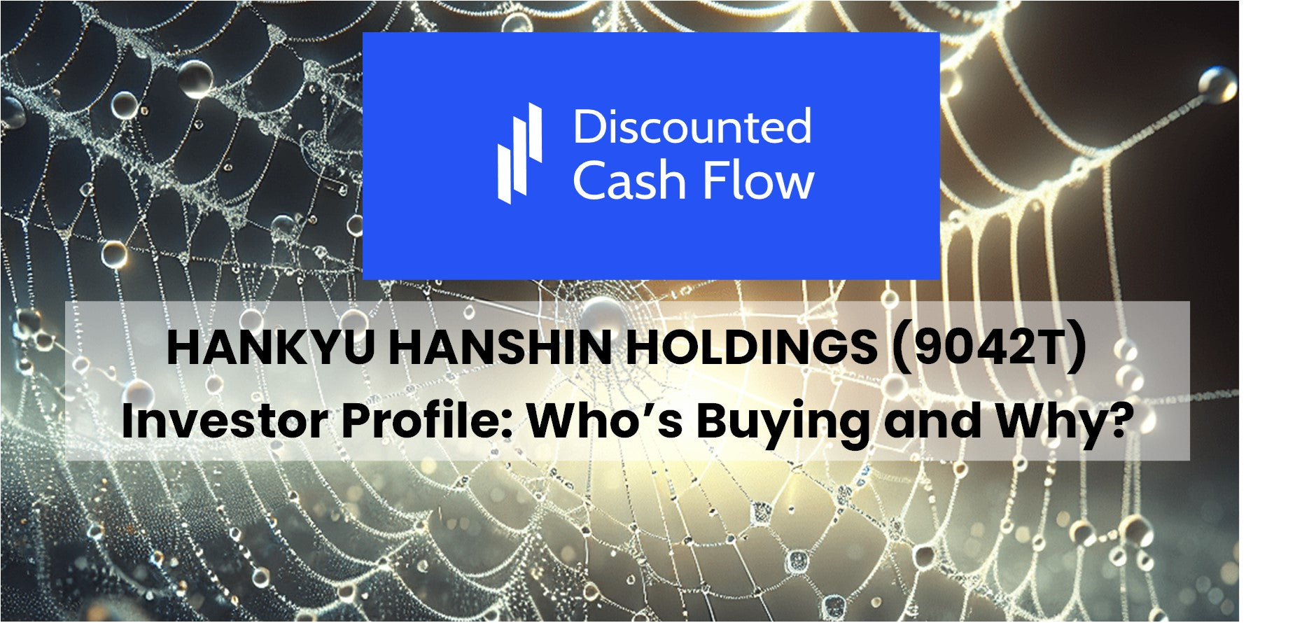 Exploring Hankyu Hanshin Holdings (9042T): Who’s Buying and Why? – DCFmodeling.com