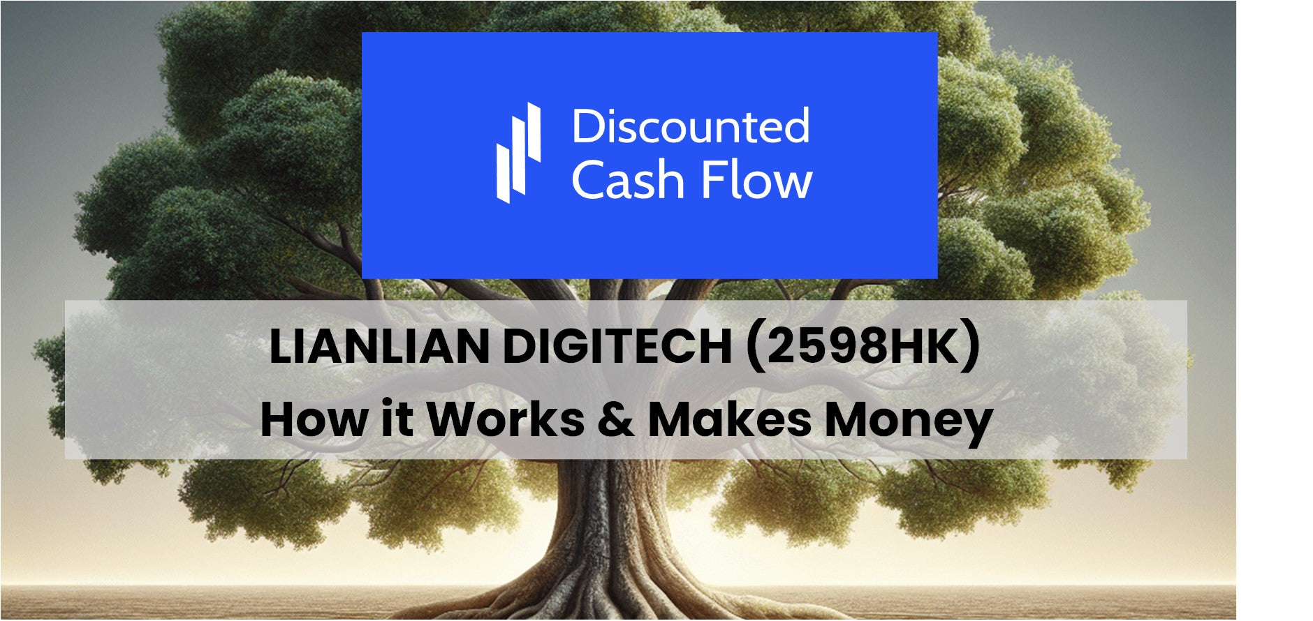 Lianlian DigiTech (2598HK): history, ownership, mission, how it works & makes money ...