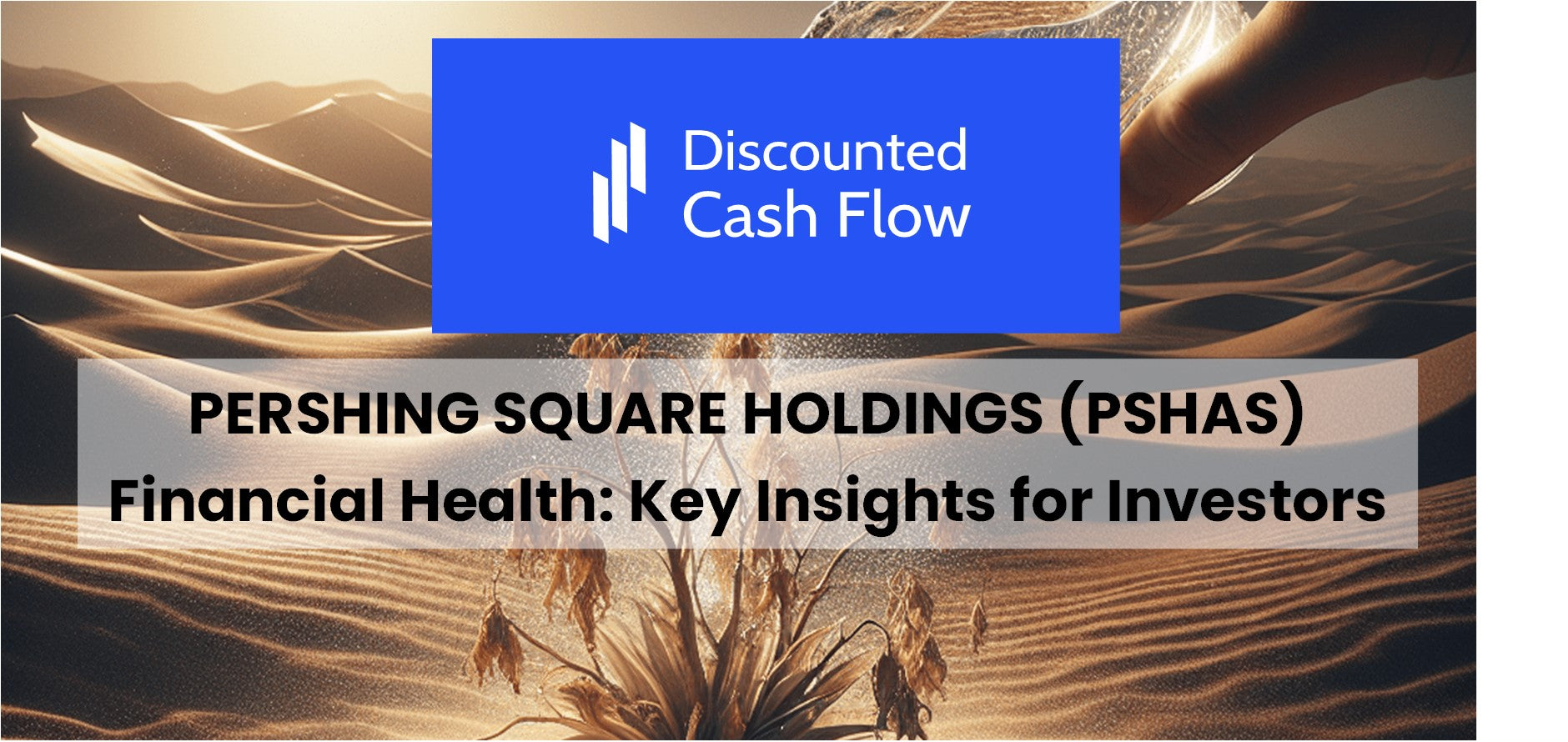 Breaking Down Pershing Square Holdings (PSHAS) Financial Health: Key ...