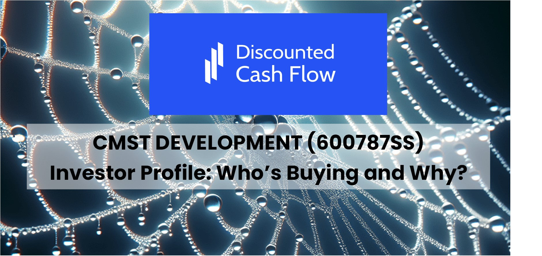 Exploring CMST Development (600787SS): Who’s Buying and Why ...